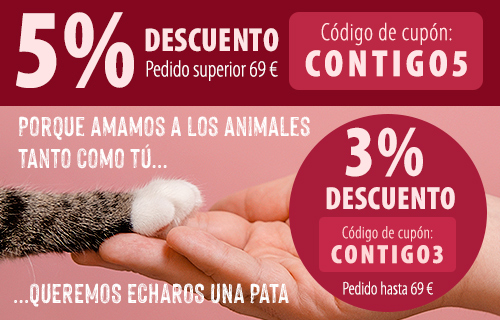 Resfriado en perros | Magazine para perros zooplus