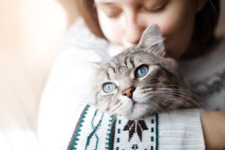 Conjuntivitis en gatos | zooplus