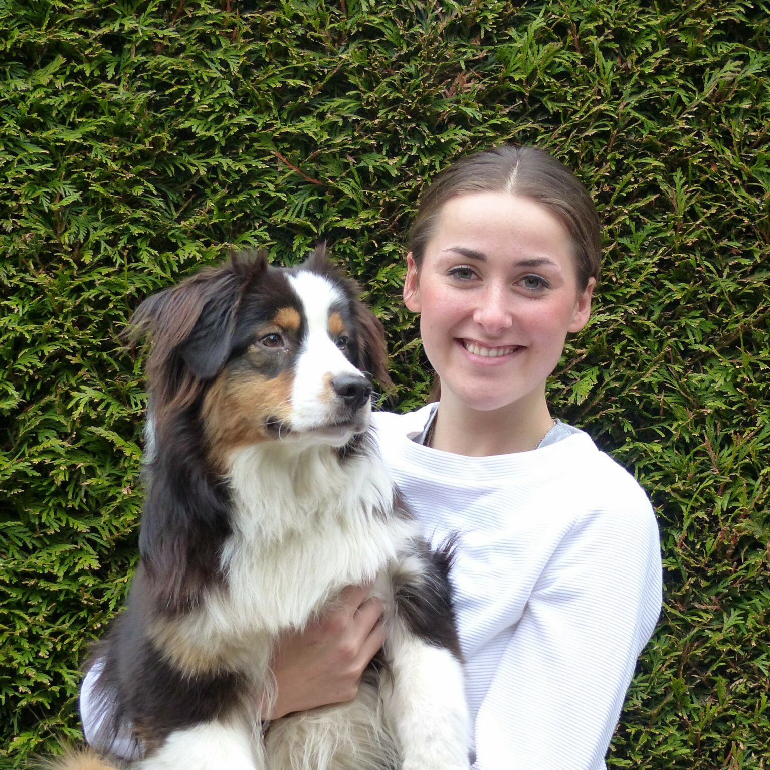 Abscesos en perros | zooplus