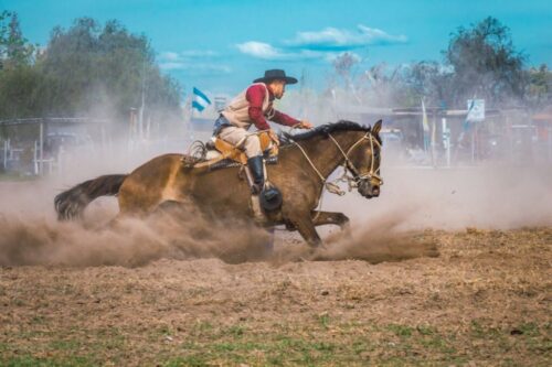 Criollo | zooplus Magazine